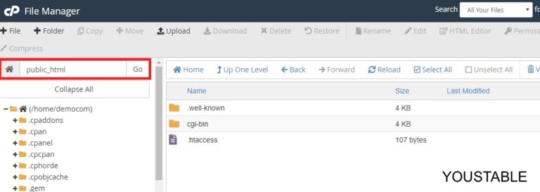 Everything about www and public_html in Web Hosting