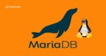 How to Install MariaDB on a Linux Server