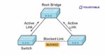 Master Flooding in Computer Networks: Key Algorithms Explained