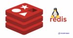 Linux Sunucusuna Redis Nasıl Kurulur