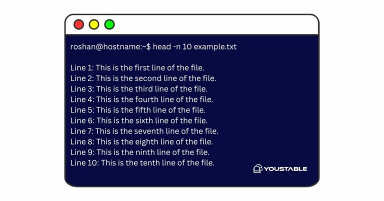 Linux의 마스터 헤드 명령: 예제를 통한 쉬운 가이드