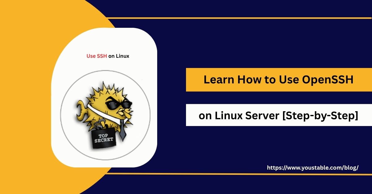 Ultimate Guide to Use SSH on Linux Servers Safely